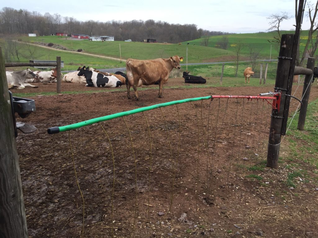 AT Spotlight: Spring Loaded Automatic Gates – Agrability for Pennsylvanians