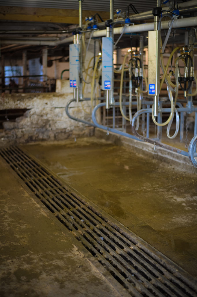 Assistive Technology: In and Around the Dairy Barn – Agrability for ...